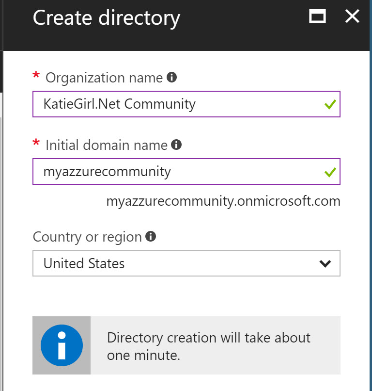 Creating My Custom Domain With Azure Active Directory Using The New 3431